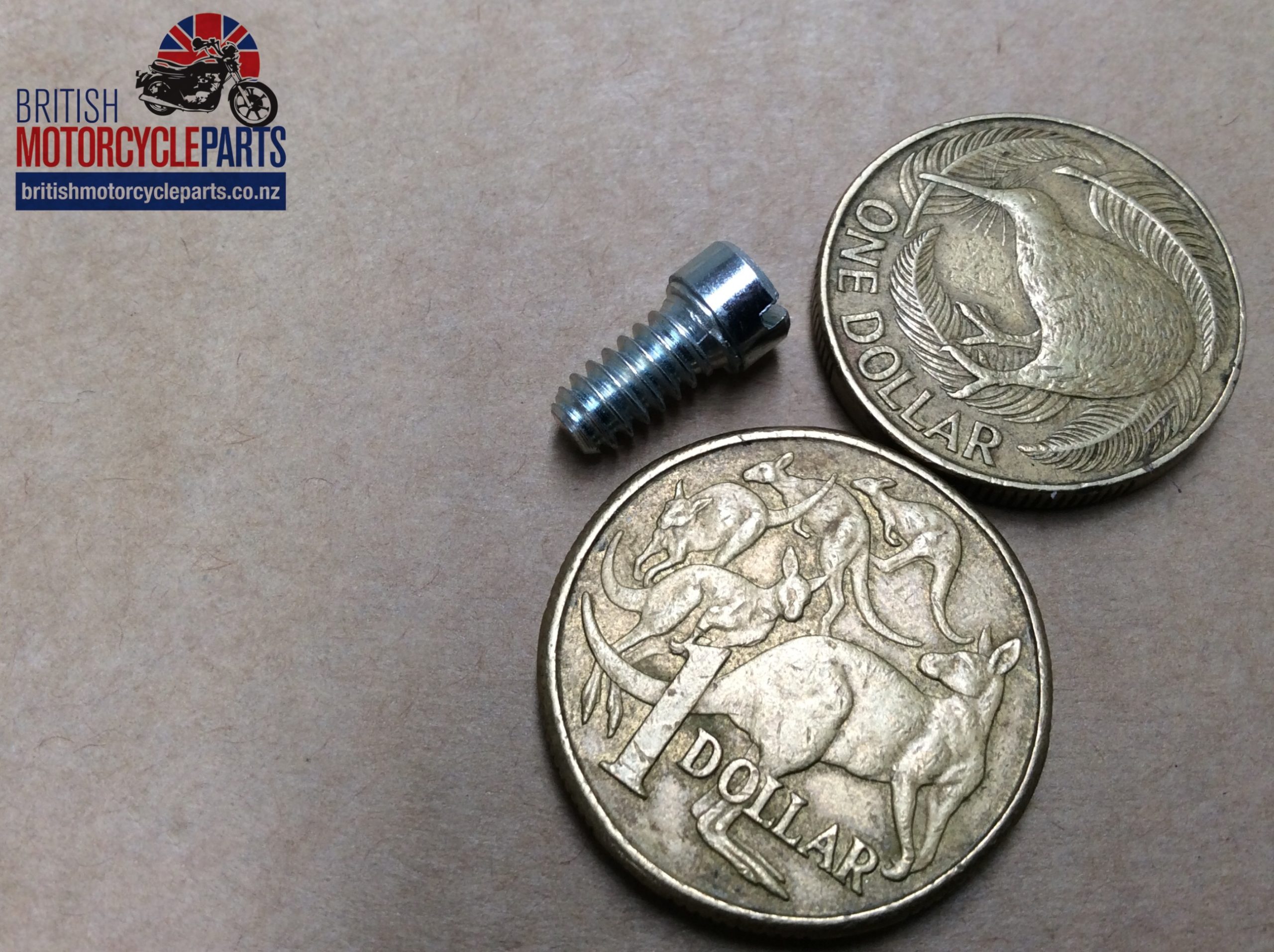 29-2158 Tappet Inspection Cover Screw - BSA - British Motorcycle Parts Ltd